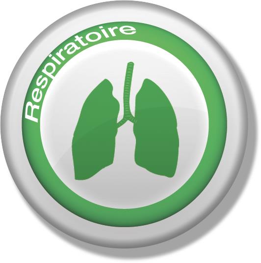 Panel I / Respiratory viruses